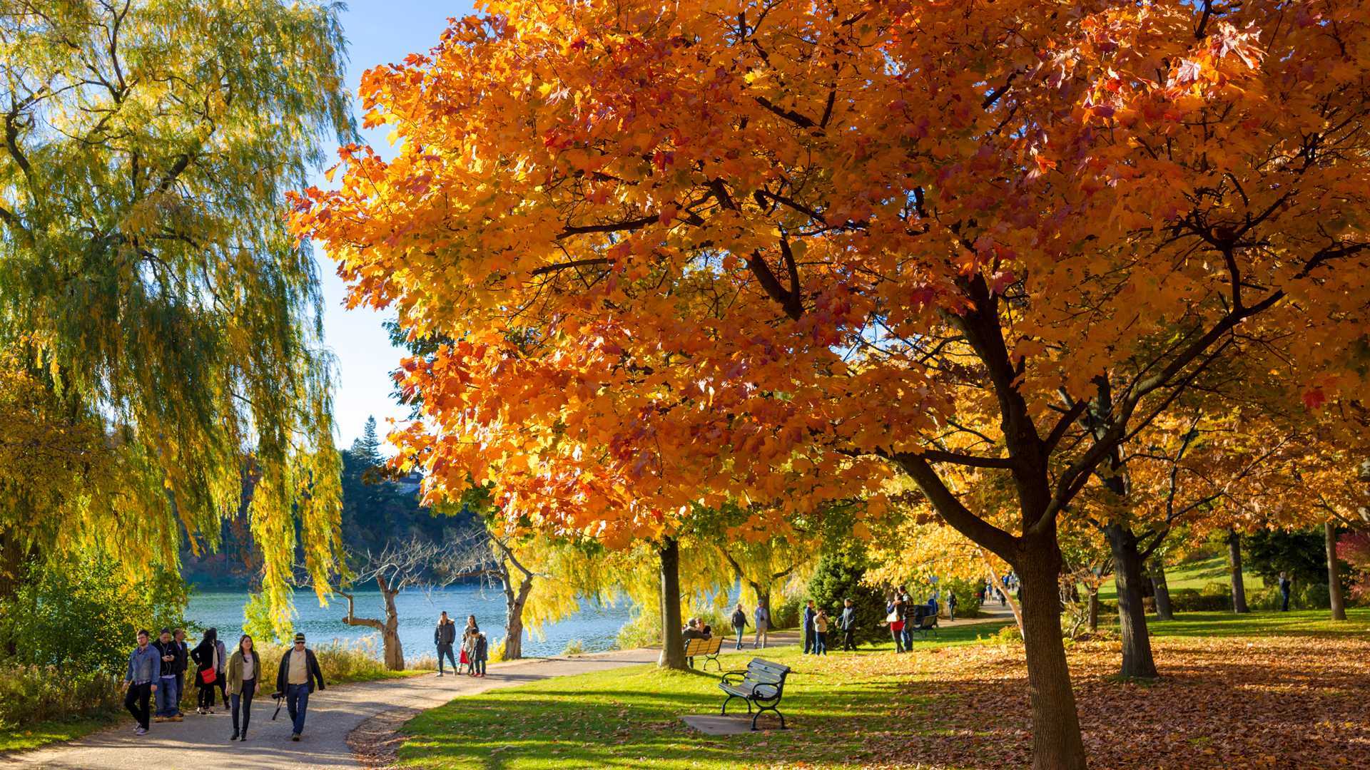 12 of the best walking trails in Toronto | Escapism TO