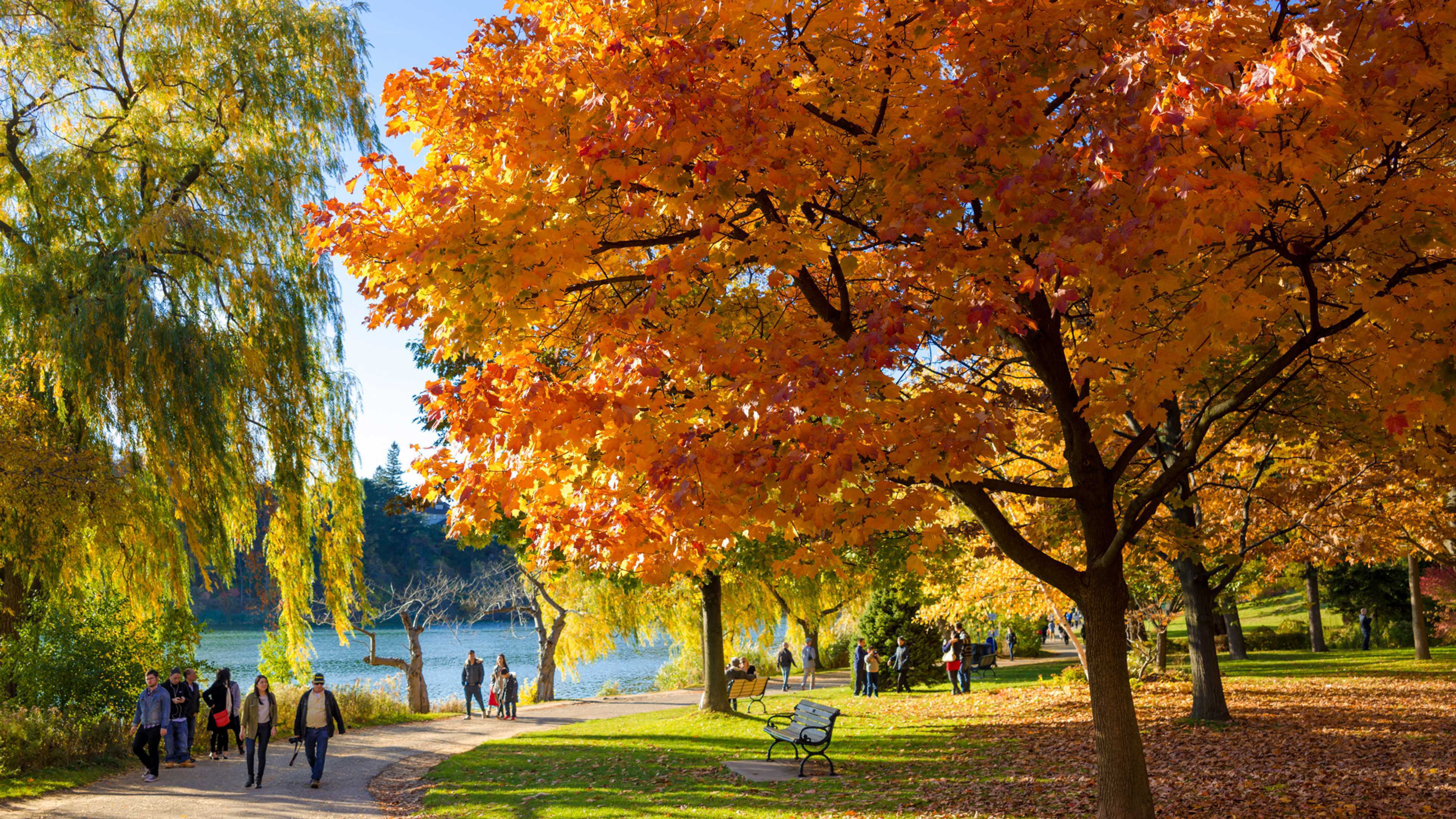 12 of the best walking trails in Toronto | Escapism TO