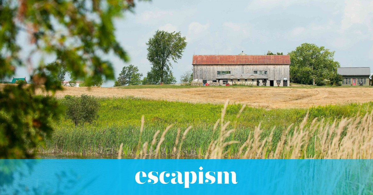Good Luck Farm: Discovering the culinary scene of Kawarthas ...