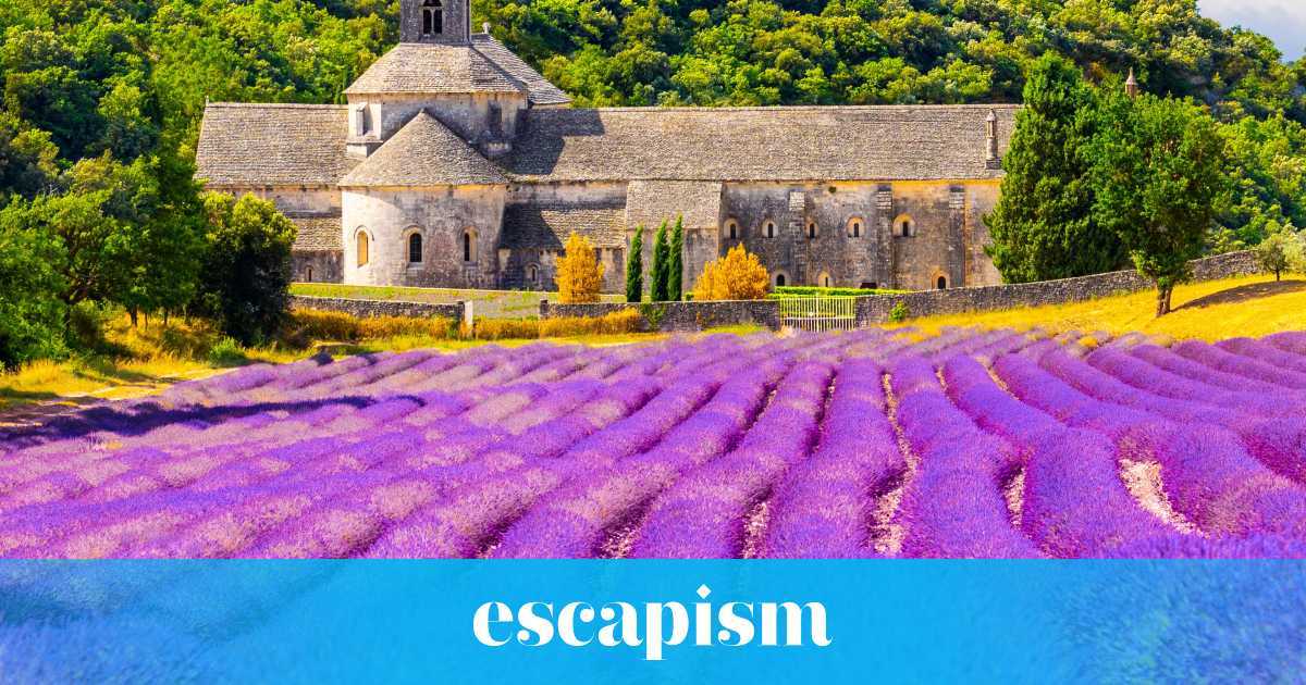 The lavender in Provence, France is pure magic | Escapism TO